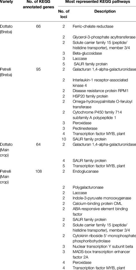 Comparative Analysis Of Differentially Expressed Genes Between The Two