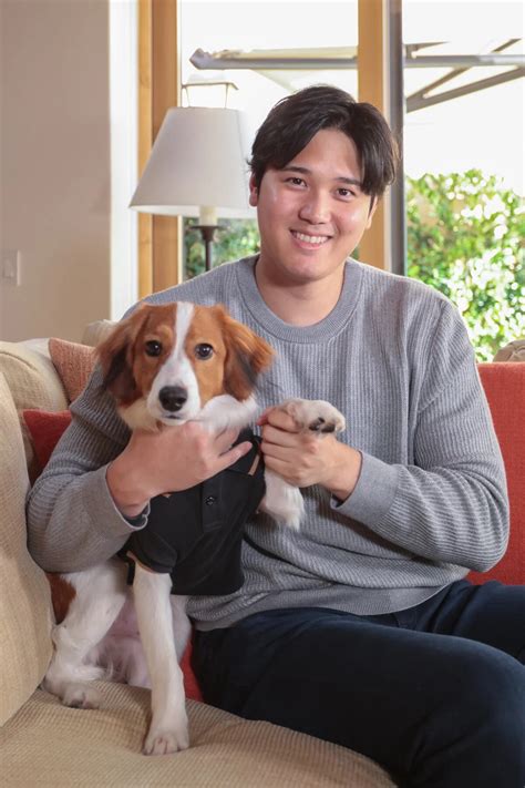 Dekopin El Perro De Shohei Ohtani Que Recibió Una “visa” Honoraria