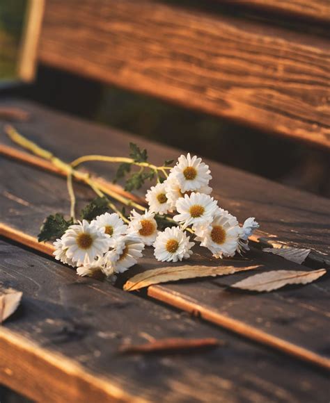 خاتوونی شین ‎خاتوونی شین‎ Added A New Photo