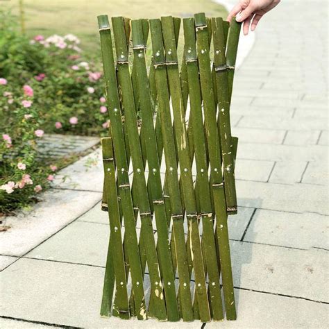 免運 伸縮竹籬笆 竹子柵欄 多款規格 竹籬笆 伸縮 天然竹材 圍籬 圍欄 圍籬 景觀設計 庭院 園藝 蝦皮購物