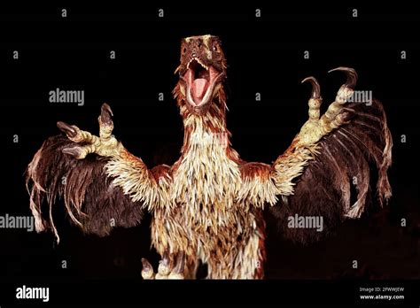 The San Diego Natural History Museum Hosted An Exhibit Of Feathered Dinosaurs The Exhibit