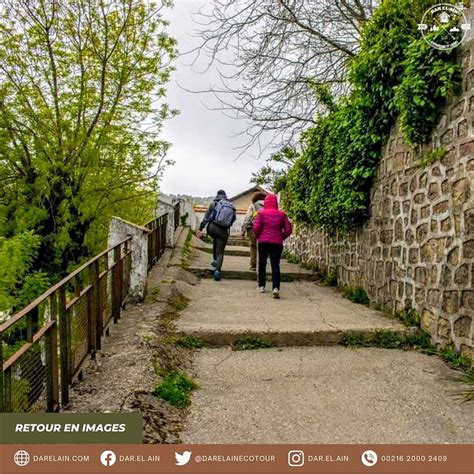 Discovery Ain Draham Reviews And Photos