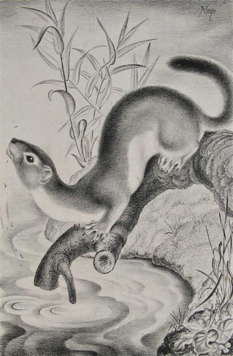 Eileen Mayo We Buy And Sell Linocut Prints Seen On Bbc Tv