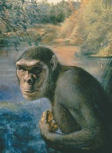 最古の人類に迫る 700万年前の化石の謎 日経サイエンス