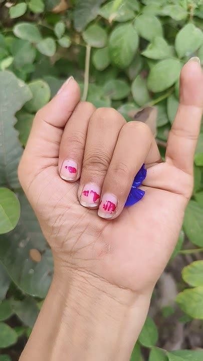 Cool Bright Green Incsect 🪲 Insects Nature Youtube