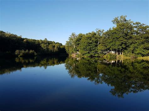 Backus Heritage Conservation Area 2026 All You Must Know Before You