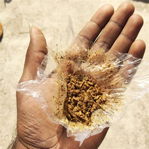 Closeup Of Indian Famous Pan Masala Mix With Betel Nut And Lime Rajkot