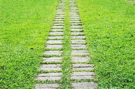 Stone Footpath Background Backyard Conceptual Photo And Picture For Free Download Pngtree
