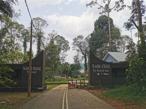 Tasik Chini Makin Menyedihkan Utusan Malaysia