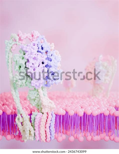 Plasma Membrane 3d Over 716 Royalty Free Licensable Stock Illustrations And Drawings Shutterstock