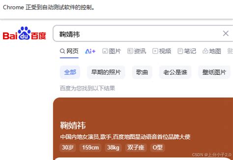 自动化测试selenium java版 selenium java csdn博客