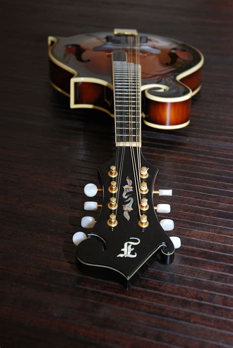 Bluegrass Mandolin Instrument Sound Music String Mandoline Bluegrass 910x1359 Wallpaper