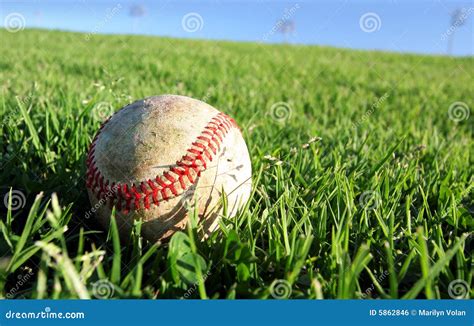 Vector Baseball On Grass Stock Vector Illustration Of Game 5862846