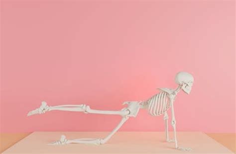 Skeleton Exercising Photos Download The Best Free Skeleton Exercising
