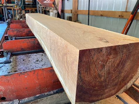 The Tree We Have Formed A Cant Around The Pith Centers Facebook