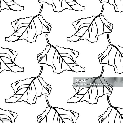 매끄러운 패턴 라인 은 흰색 배경에 검은 드라이 잎을 예술 색칠 공부 카드 벽지 포장 스티커 엽서를위한 가을 예술 창조적 인