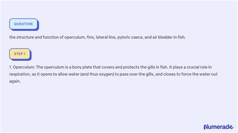 Solved The Structure And Function Of Operculum Fins Lateral Line