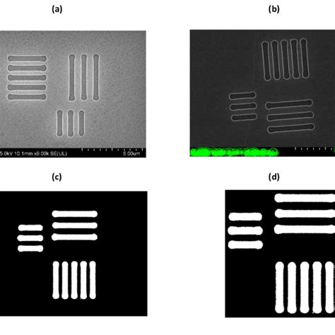 Preprocessing Of The Dataset A Gray Scale Sem Image With Its