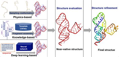 figure 1 from rna 3d structure prediction progress and perspective