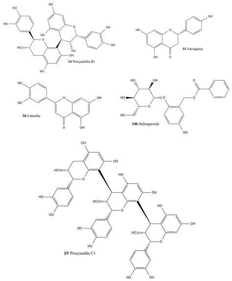 Polyphenol Analysis And Antibacterial Potentials Of Twig Extracts Of