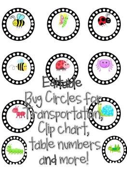 BUG LABELS For Transportation Lunch Count Clip Chart And More By Miss Nelson