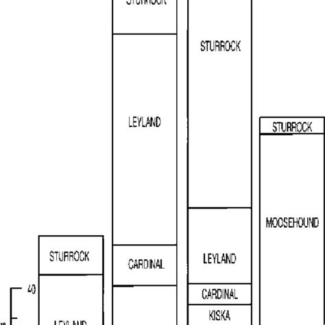 Members Recognized In The Cardium Formation From South To North Along