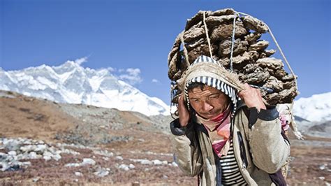 Is Sherpa A Tribe At Arnulfo Vandiver Blog
