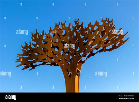 Teletubbies Magic Tree