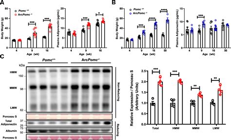 Figure 1 From Hypothalamic Pomc Deficiency Increases Circulating