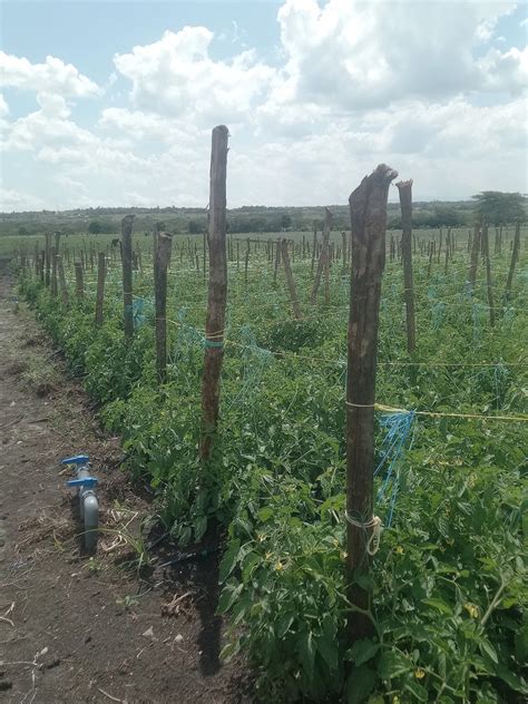 Agronomy Plus Agronomy Plus Added A New Photo