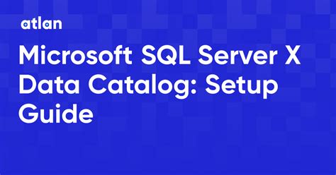 Microsoft Sql Server X Data Catalog Setup Guide