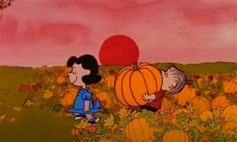 Great Pumpkin Charlie Brown Will Not Air On Network Tv Great Pumpkin Charlie Brown Will Not Air On Network Tv