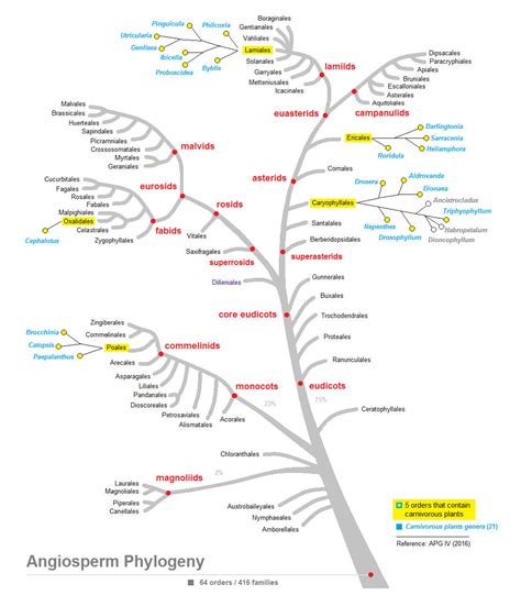 Prgca Department Of Botany September 2016