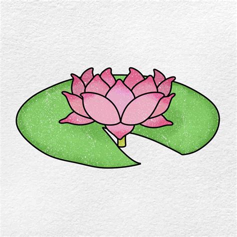 How To Draw A Water Lily Helloartsy