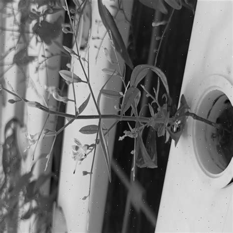 Object Detection Object Detection Pvqiw Roboflow Universe