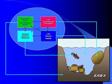 Kawa Model Example Occupational Therapy Models Everbility Blog