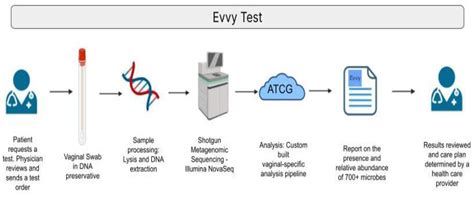 An Accurate Metagenomics Pipeline To Characterize Self Collected Vaginal Microbiome Samples [v1]
