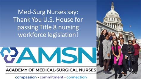 Amsn Legislative Brief October 2019