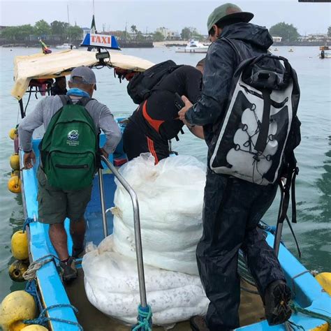 Triptico De Protocolos Ambientales
