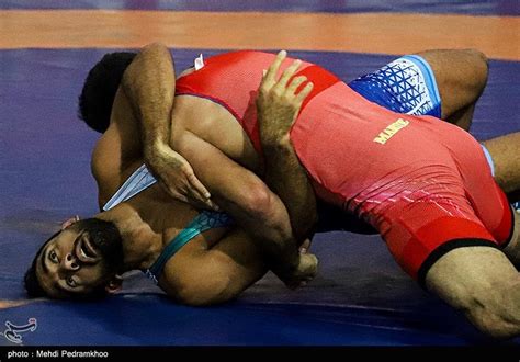 کشتی جام دانکلوف و نیکولای پتروف 4 کشتی‎ گیر ایرانی به نیمه نهایی رسیدند تسنیم