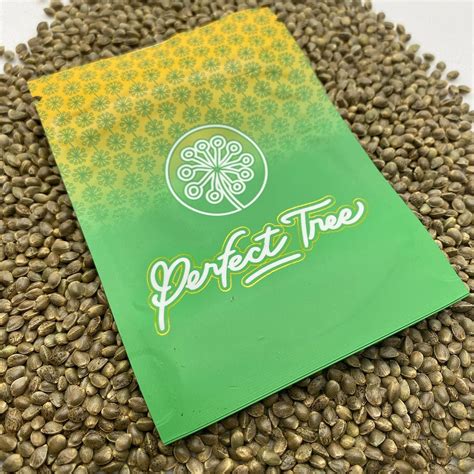 Perfect Tree Breeder Seed Bank Info Growdiaries