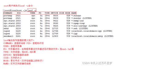 Linux中查看端口占用情况(lsof,netstat) 远洪 博客园 Linux中查看端口占用情况(lsof,netstat) 远洪 博客园