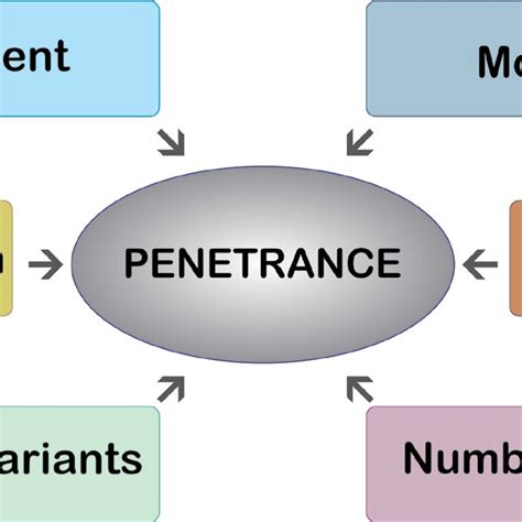 Some Factors That May Modulate The Clinical Penetrance Of A Pathogenic