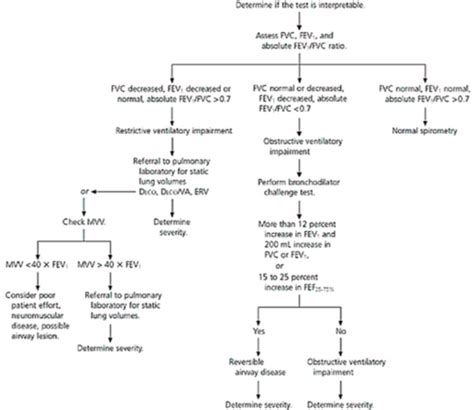 Pulmonary Function Tests Lab Flashcards Quizlet