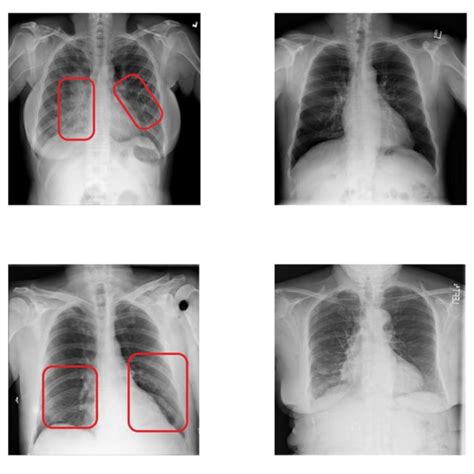 Examples Of Counterfactual Images Produced With Our Proposed
