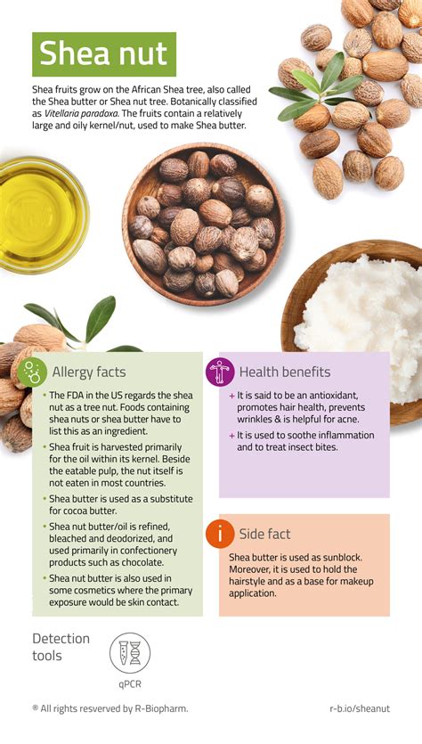 Shea Nut Food And Feed Analysis