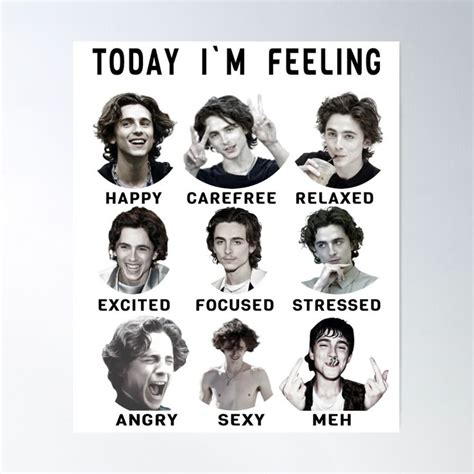 Timothee Chalamet Funny Feelings Poster For Sale By Pafdesign Funny Feelings Timothee