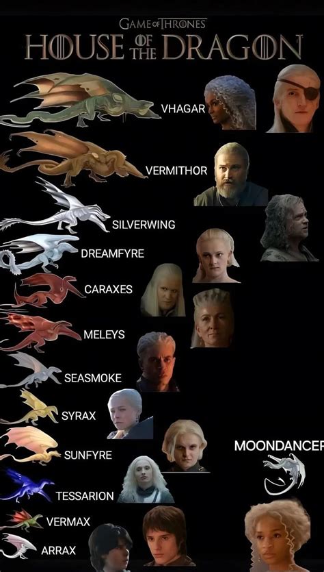 House Of The Dragons L All Dragons And His Riders House Of Dragons
