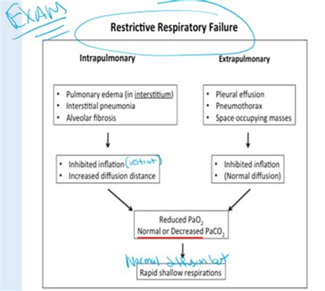 Syspath E2 Respiratory Pt2 Flashcards Quizlet