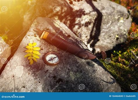 Bushcraft Equipments On A Rock Compass And Knife In Forest Hiking And